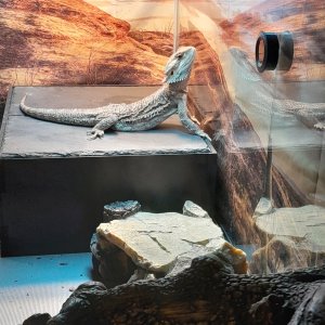 20250325_132538.jpg | Visitor Photos